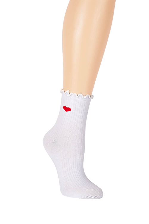 Socket Socks, Socket Socks Models and Prices
